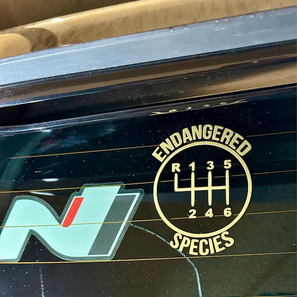 6 Speed Gear - Endangered Species - Stick Shift - Manual Car - Car ...