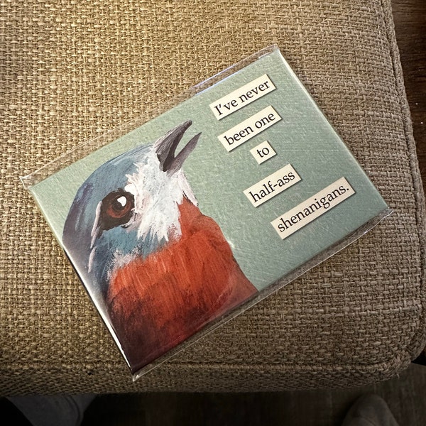 Shenanigans Magnet - Bird - Humor - Gift - Mincing Mockingbird ...