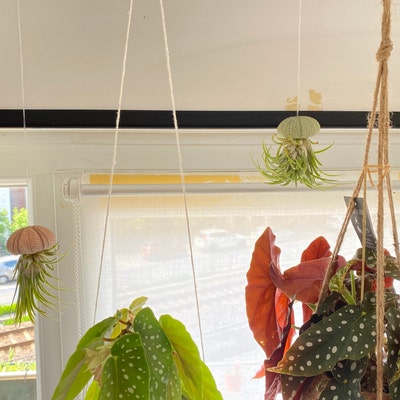 Large Beach Flat Terracotta, Authentic Sea Pottery Shards, Sea Finds - Etsy