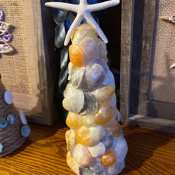 50 Assorted Jingle Shells From Cape Cod Beaches - Etsy