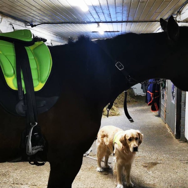 Custom Made Western Saddle Tapaderos Stirrups Leather Handmade Sewn ...