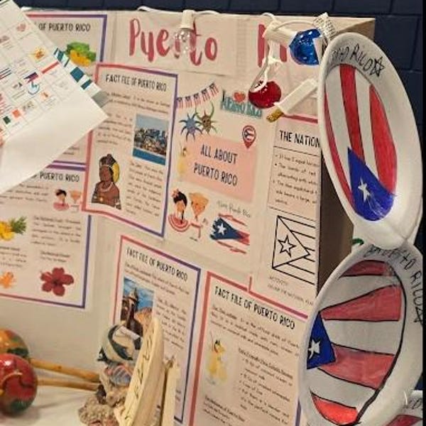 Albert Einstein| Biography Research Project | Display Board School ...