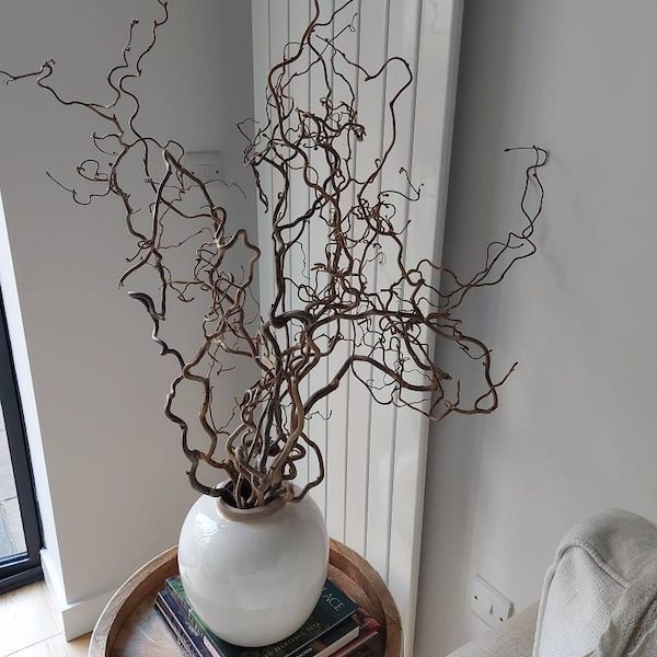 Contorted Hazel Corylus Branch Curly Twigs for Tabletop Vase Corkscrew ...