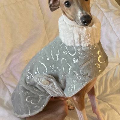 Italian Greyhound Velvet Long Sleeve Ruffled Shirt Size - Etsy