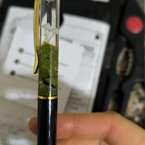 Dolphin Float Pen, Floating Pen, Dolphin Gift, Ocean Gift, Snow Globe ...