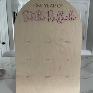 One Year of Photo Board, First Year Board, Baby's My First Year Sign ...