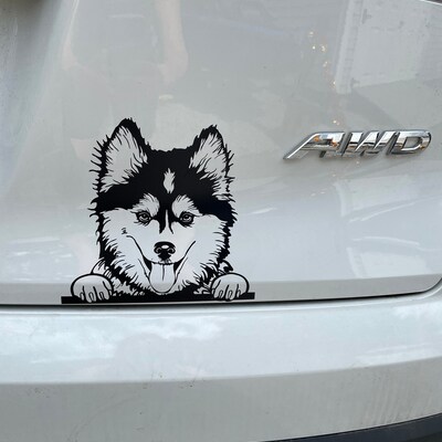 Pomsky Dog Svg,pomsky Dog Cricut,pomsky Dog Face Svg,pomsky Dog Clipart ...