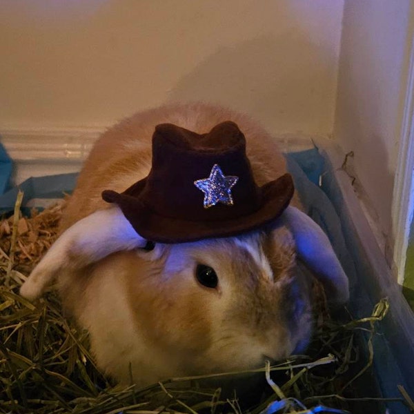 Cowboy Hat for Pet Bunny Rabbit and Other Small Pets - Etsy