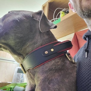 Luxury Big Dog Collar With Spikes 3 Inch Width - Etsy