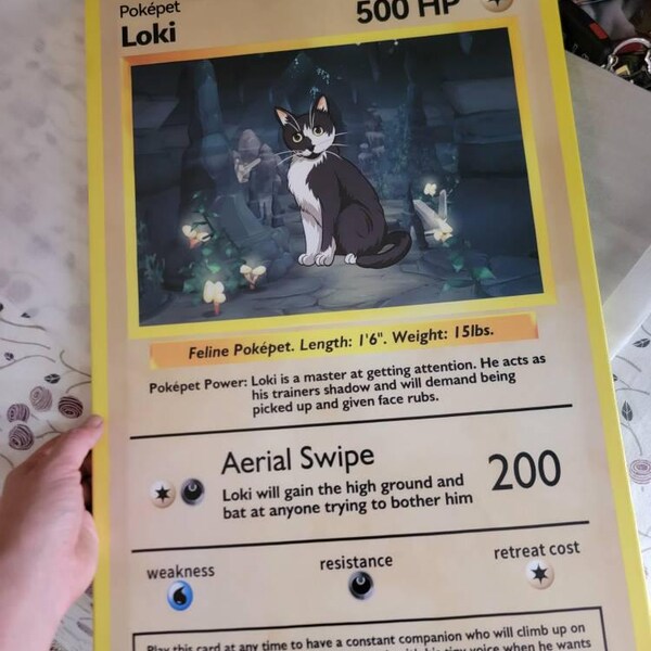 Custom Pet Portrait, Custom Dog Portrait, Custom Pokemon Cards ...
