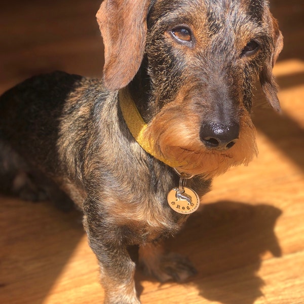 Dachshund Sausage Dog Hand Stamped Handmade Dog Tag #poshtags Collar ...
