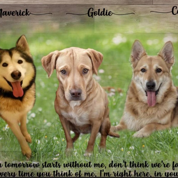 Pet Loss Gifts, Dog Memorial Gift, Personalized Pet Memorial Frame, Dog ...