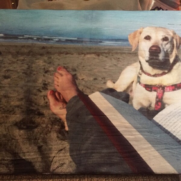 Don't Tread on Me Reclaimed Wood Sign Depicting Rattlesnake and ...