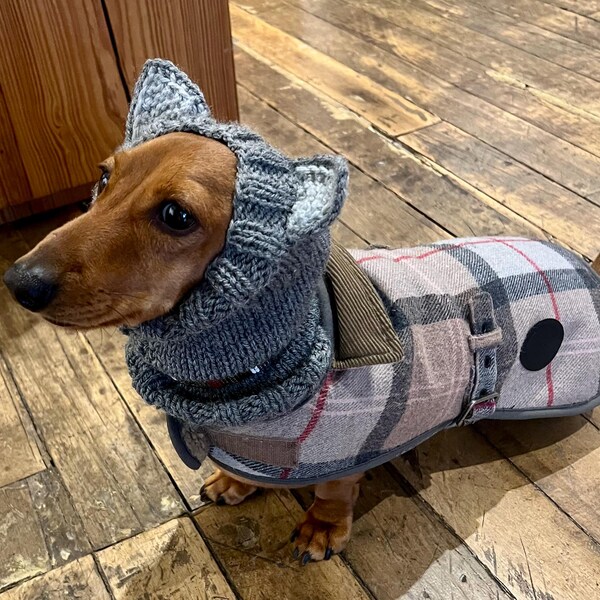 Personalized Dog Sweater With Initials, Dog Clothes With Letter of Name ...