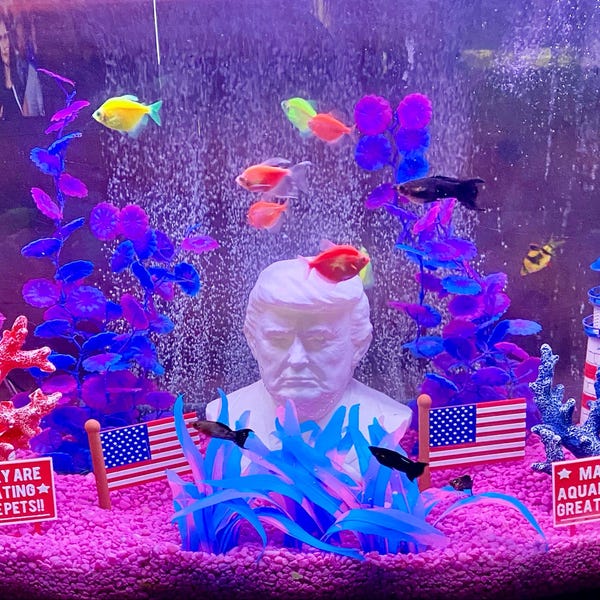 Formula 1 Racing Logo Sign – 3D Printed Wall Decor With Hanger Holes ...