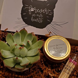 CAT SYMPATHY GIFT Loss of Cat Cat Loss Sympathy Gift - Etsy