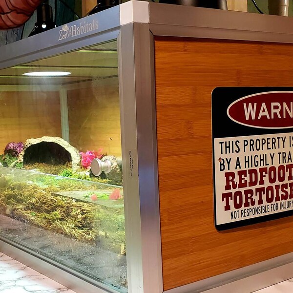 Redfoot Tortoise Sign,funny Metal Signs,tortoise Gift,tortoise ...