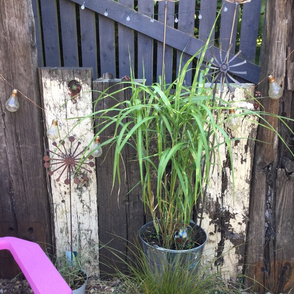 Rusty Metal Allium Sculpture / Metal Seed Head Garden Stake / Metal ...