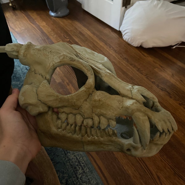 Ampwave Base STL for 3d Print - Etsy