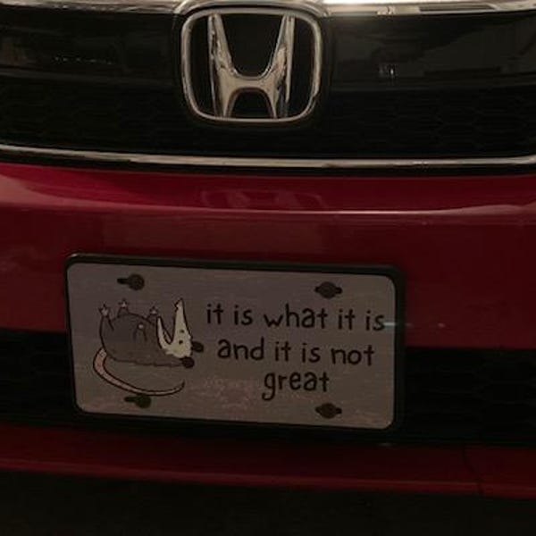 Stained Glass License Plate Frame, Floral Pink Peony Vanity Car Tag ...