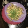 Jericho Flower Rose of Jericho Love Pagan Wiccan Magic - Etsy