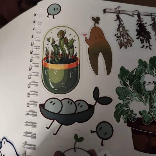 Botany Pills Stickers: Transparent Plant Terrarium Stickers - Human ...