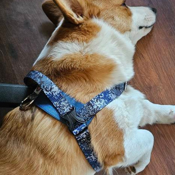 Custom Corgi Harness: Easy On, Reclaimed Seat Belt Webbing, USA Made - Etsy
