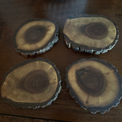 Variety Pack Natural Tree Wood Coasters With Bark 4-pack Coasters for ...