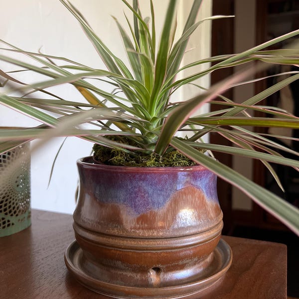 Green Swirl Dinner Plate 9 Inch Plate Porcelain Handmade Ceramic Plate ...