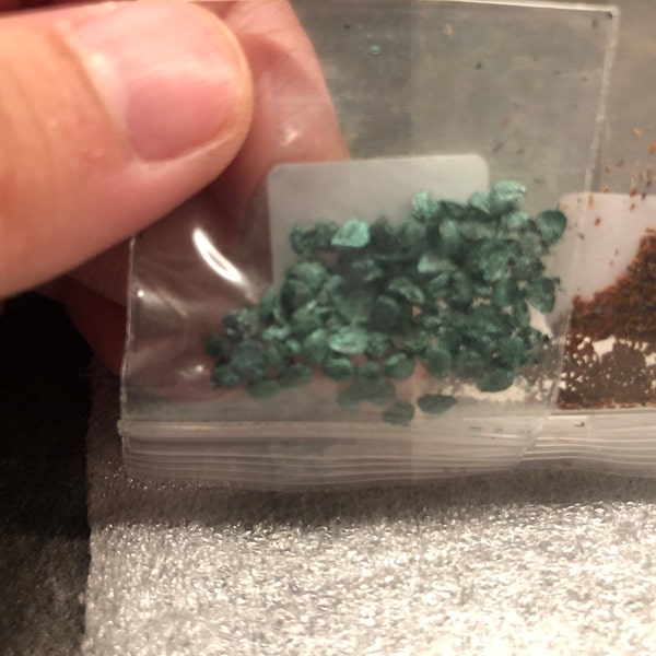 부추 Seeds(100+) Korean Chive Seeds - Etsy