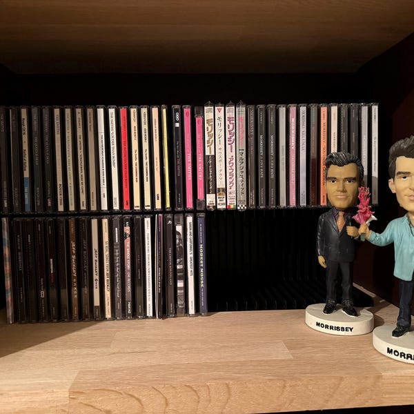 CD Cases Tray (holds 18 in a 1x18 Layout) Storage/holder/stand/rack/box ...