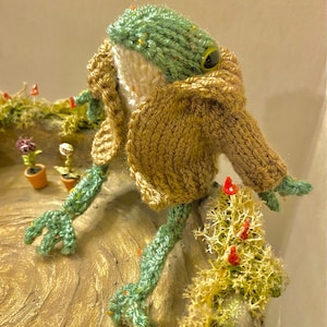 Hand Knitted Clothes for Frog, Doll, Pocket Frog Emotional Support From ...
