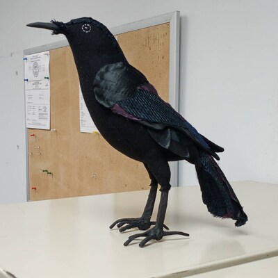 A Sewing Pattern PDF : Crow - Etsy