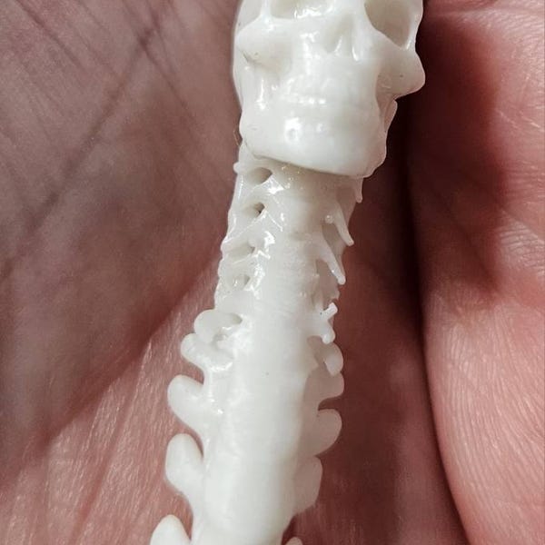 Miniature Human Bones, Horror Halloween Diorama, Terrarium, Room Box - Etsy