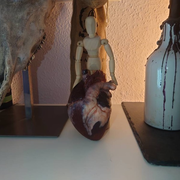 Realistic Human Heart Life Size , Anatomical Human Heart Silicone ...