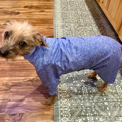 UPF50 Sun Protection Suit for American Hairless Terriers, Chinese ...