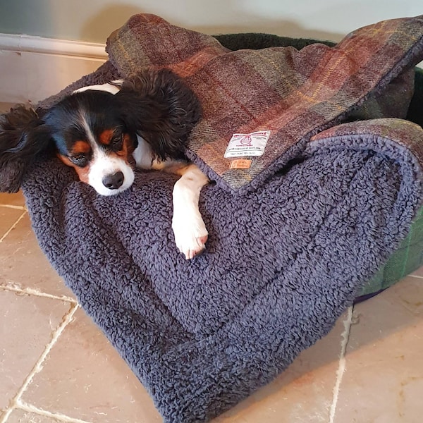 Harris Tweed Pet Blanket: Luxury Wool & Sherpa Fleece Dog/cat Bed - Etsy