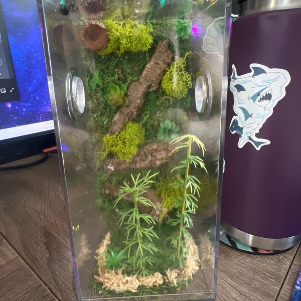 Suspension Bridge Oasis Medium Jumping Spider Enclosure, Acorn Hide ...