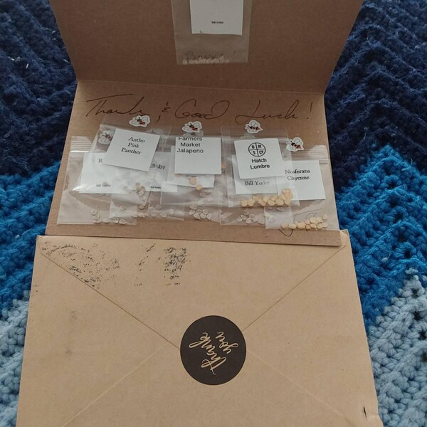 Lullaby Tomato Seeds From Bill Yoder the Cure Line Florida Heat ...