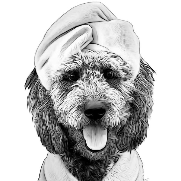 Bathroom Art, Raccoon, Spa Decor, Toilet Humor, Kids Bathroom, Bathroom ...