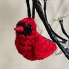 Red-bellied Woodpecker Written Crochet Pattern Realistic Garden Bird ...