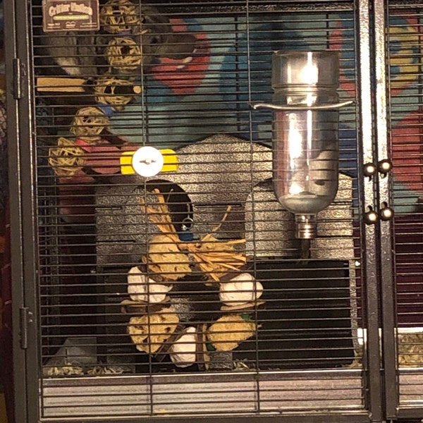 Ultimate Chew Toy Collection. Whimsy's Menagerie Original Design Chew ...