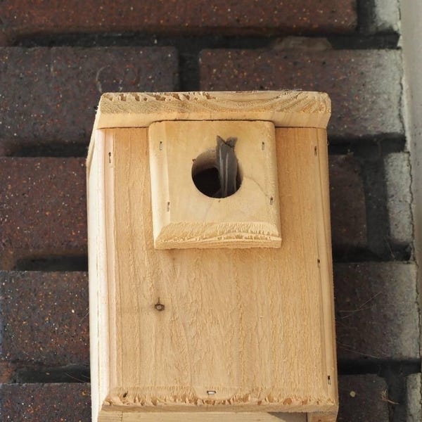 4 Handmade Cedar Bluebird Bird House Nesting Boxes Easy to Open and ...