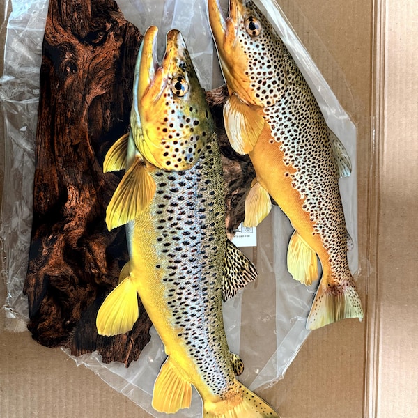 Brown Trout Duo 2D Wall Art Replica -21 Inch Flat Metal Realistic Brown ...