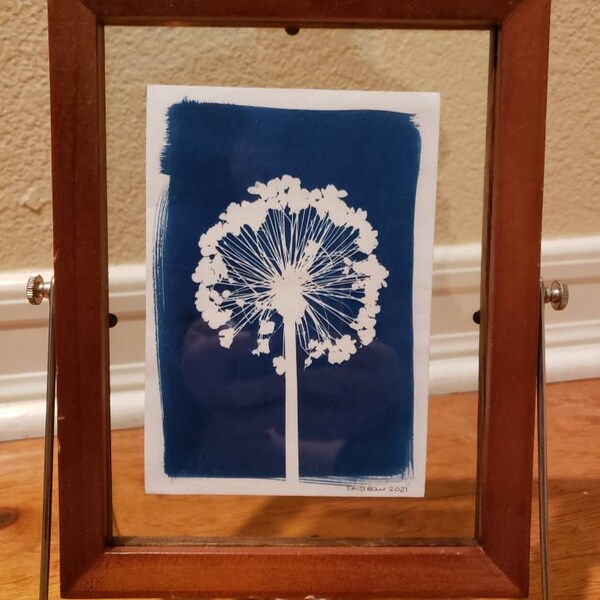 Cyanotype Print - Etsy UK