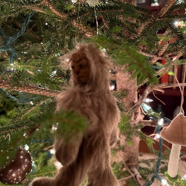 Buckeye Nuts 3/4 Lb 40 Large Size, Real Dried Buckeyes Harvested in ...