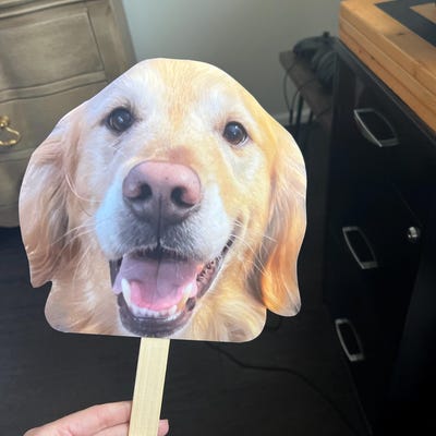 Bridal Wedding Veil Last Rodeo Bachelorette Bridal Shower Gift ...