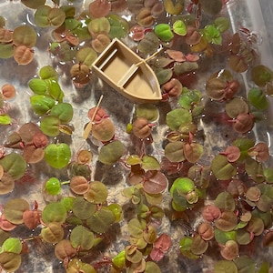 Skeleton Human Hand right Hand Prop Sculpture - Etsy