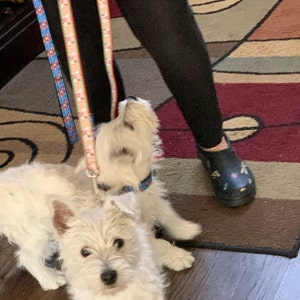 Seashell Dog Collar and optional Leash Set Girl Dog Collar | Etsy