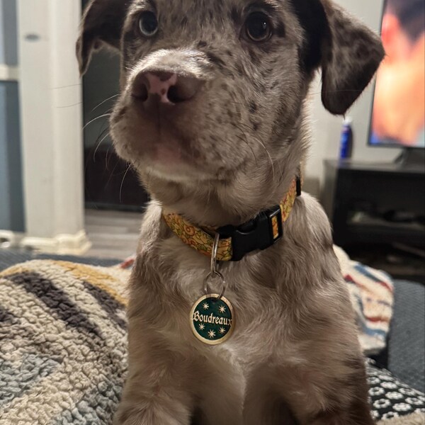 Dog Tag- Lifetime Warranty- Dog ID Tag - Pet Tag - Dog Tags Custom ...